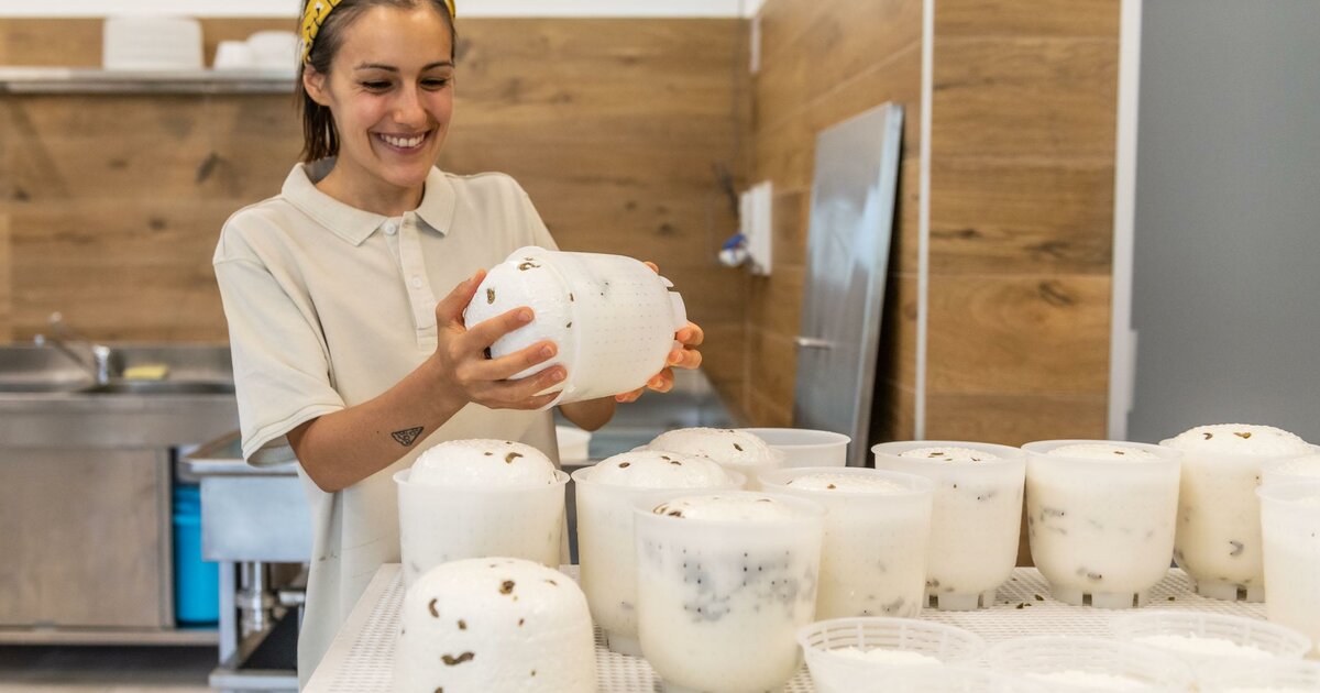 Guided tour of the farm and cheese tasting (adults)